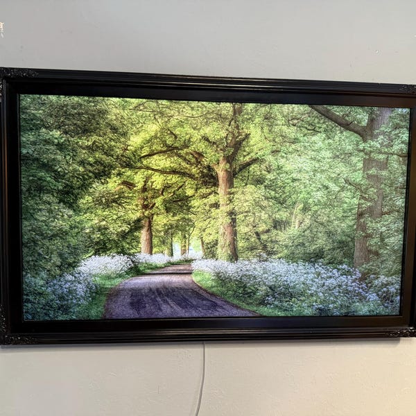32" to 75" Inch Ornate Frame for Samsung the Frame TV and Frame Pro TV ...
