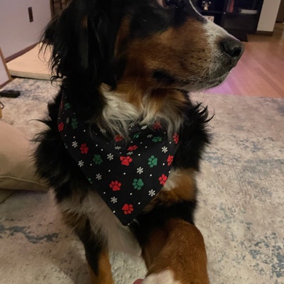Dog Bandana Sea Turtles Elastic Dog Bandana Scrunchie Dog - Etsy