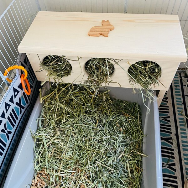 Elevated Bunny Rabbit Hay Feeder - Etsy