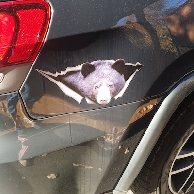 Black Bear Sticker , Car Decal, Vinyl Decal,bear Sticker, Funny Decal ...