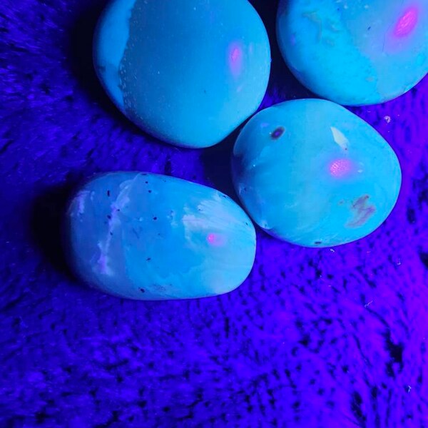 Blue Amber Specimen: UV Reactive Tumbled Stone, Polished Amber - Etsy