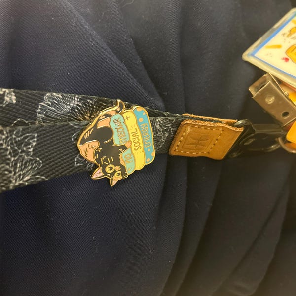 Bento Box Sushi Cat Hard Enamel Pin Keyring Cute Pins Keychain Gift ...