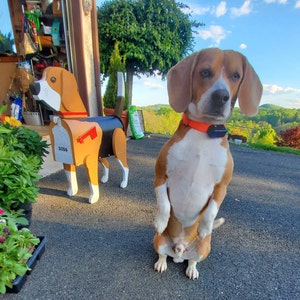 Beagle Dog Mailbox - Etsy