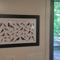 Alberta Backyard Birds Field Guide Art Print / Watercolor - Etsy Canada