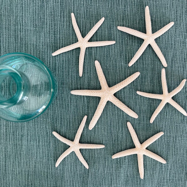 White Seashell Mix - Wedding Shells - White Sea Shells - Mixed Shells ...