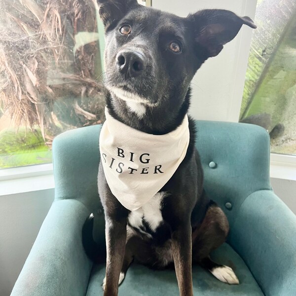 The Big ONE Shirt, Surfer Themed Party, Wave, First Birthday, Bday Boy ...