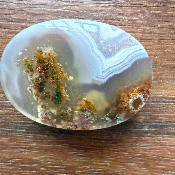 Scenic Opalized Petrified Wood - Etsy