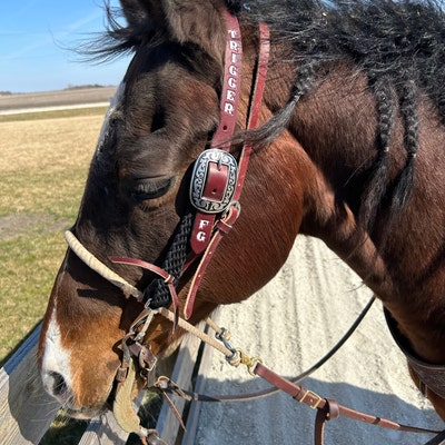 Custom Split Ear Horse Headstall - Etsy