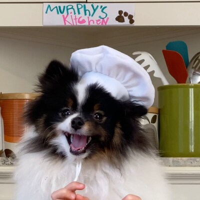 Chef Dog Hat / Chef Hat for Cat /chef Hat for Pets/ - Etsy