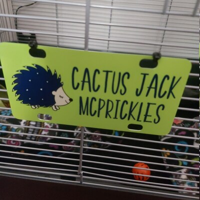 Personalized Hedgehog Name Plate / Hedgehog Sign / Cage Accessory ...