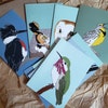 Bird Note Cards Mix Match 8 Choose From 36 Designs Printed on Recycled ...