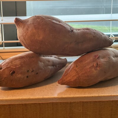 Malanga Coco Yam, Malanga Coco Root, Yautia, Cocoyam, Tannia, Eddo 4 ...