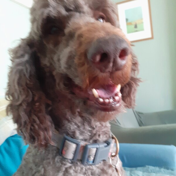 The Venti Writing Paper- Stationery - Letter Writing - Penpal Paper ...