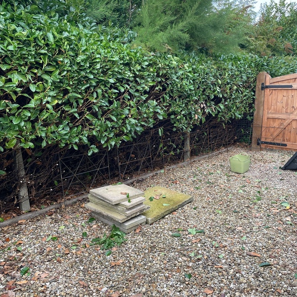 Obelisks, Large Metal Garden Obelisk With Twist Top, Rustic Plant ...