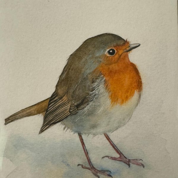 Anna's Hummingbird Print 8 X 10 Inch of Watercolor Painting 8 by 10 by ...