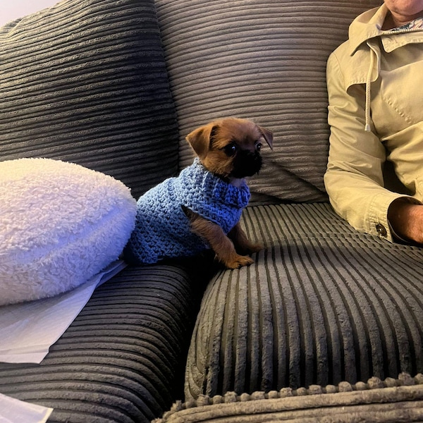 Cora Dog Sweater Crochet Pattern - Beginner Friendly Pattern in 7 Sizes ...