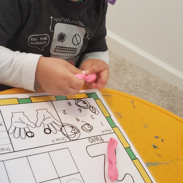 ASL Feelings and Emotions Matching Activity, ASL Emotions File Folder ...