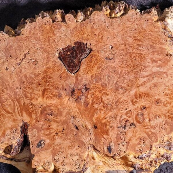 Live Edge Claro Walnut Slab/serving Tray/guitar Body/billet/bar Table ...
