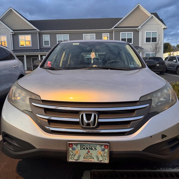 Opossum License Plate, Possum Car Decor, Funny Car Accessories for Men ...