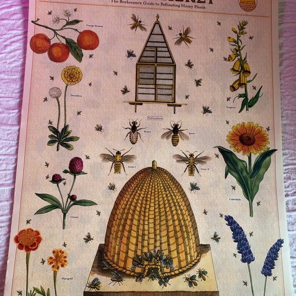 Bee Poster | Plant These Save the Bees Print | Living Room Wall Art ...