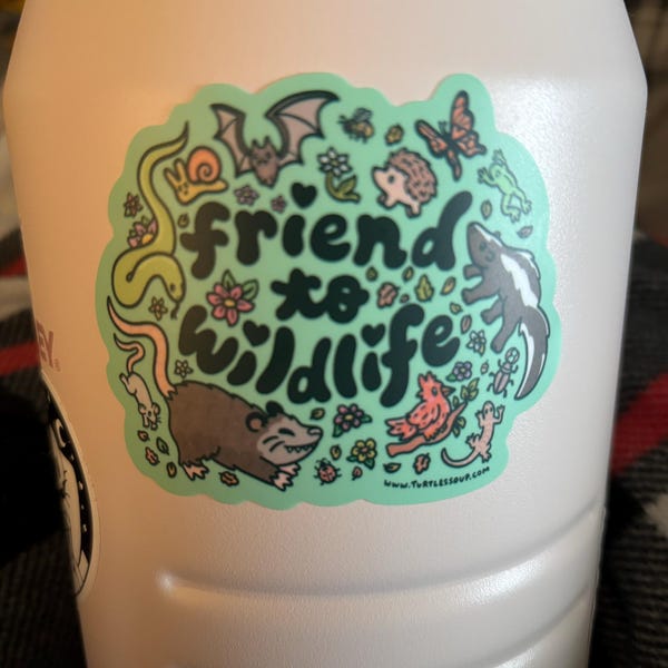 Pool Party, Animals, Sticker Sheet, Vinyl Decal, Floaties, Summer, Cute ...