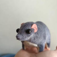 Elephant Shrew Stuffed Toy - Native African Animal Shrew Plush - Sengi ...