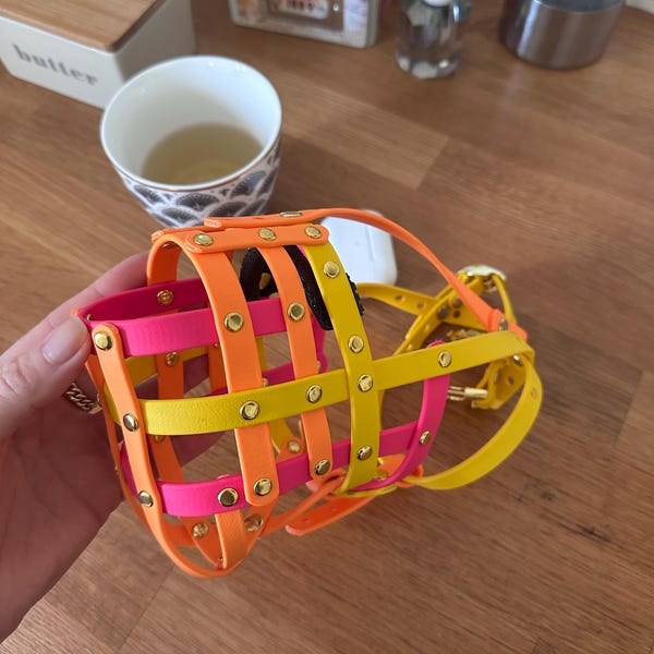 Hand-painted Biothane Dog Collar | Adjustable, Double-layered ...