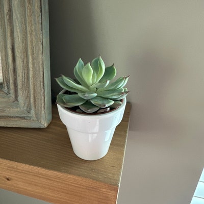 Final Exams Gift Box Exam Care Package Gift for Student College Gift ...