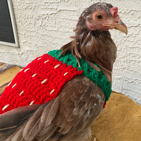 Chicken Sweater Chicken Saddle Sweater for Chicken Molting Season Hen ...