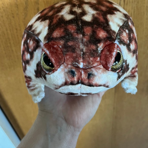 NEW Rain Frogs Grumpy Frog Mini Plushie Stuffed Animals - Etsy