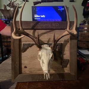 Personalized Black Walnut NWTF Grand Slam Turkey Tail Display - Etsy