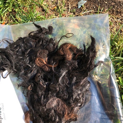 Rainbow-mix Suri Alpaca Fleece and Hand-dyed Suri Locks Spinning and ...