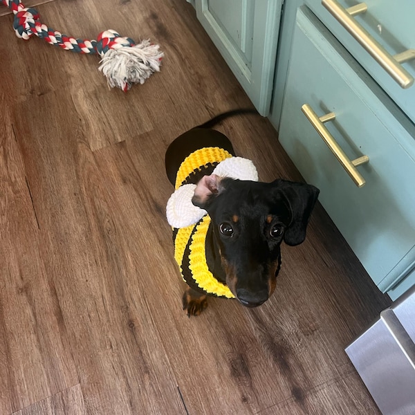 Bumblebee Dog Sweater / Halloween Costume Available in 4 Sizes - Etsy