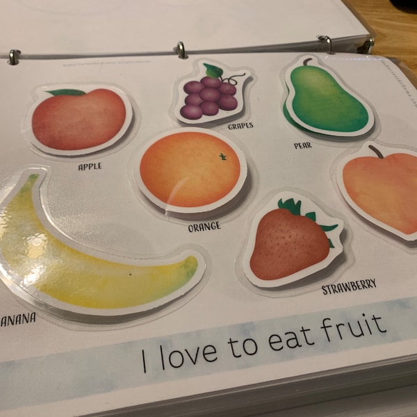 Busy Book Printable Toddler Activities Montessori Homeschool Resources ...