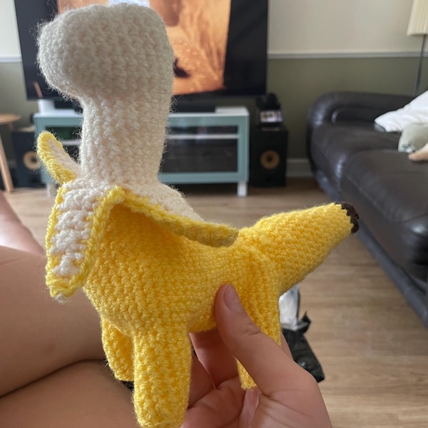 Bananasaurus Dinosaur NO SEW Crochet Pattern - Etsy