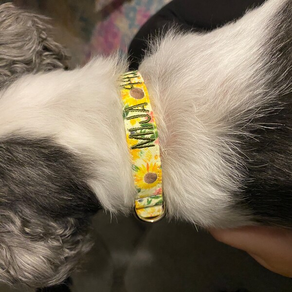Sunflower Dog Collar, Embroidered Dog Collar, Personalized Dog Collar ...