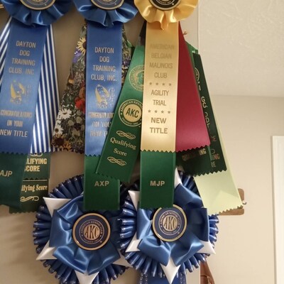 AKC Virtual Rally Title Ribbon Rosette Novice Intermediate - Etsy UK