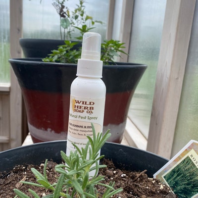 NATURAL Pest & Bug Repellent Spray Humans and Dogs: Organic Essential ...