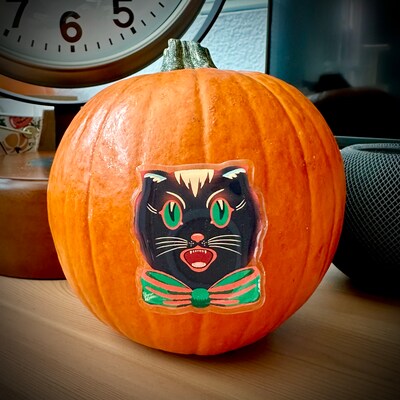 Halloween Black Cat Scaredy Cat Jack-o-lantern Pumpkin 5 X 7 - Etsy