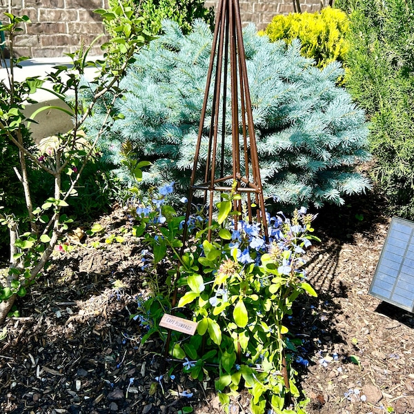 Wrought Iron 31" Ball Top Triangle Topiary Flower Trellis, Rustic ...