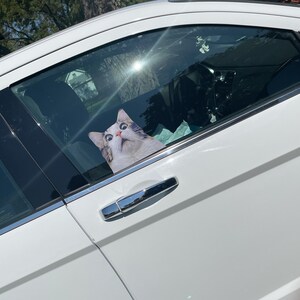 Scaredy Cat Sticker Cat Sticker Cat Kitty Cat Gift Kitty - Etsy