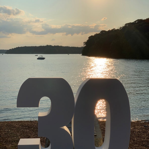 Any Single Number Table Base Foam 30 Tall and 8 Feet Birthday Photo ...