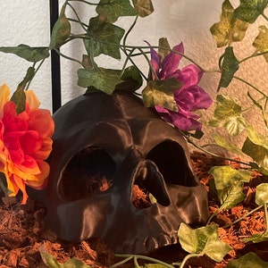 High Detail Human Skull Container Goth Storage Solution - Etsy