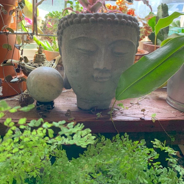 Buddha Planter, Buddha Pot, Buddha Head Planter, Head Vase, Face ...