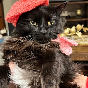 Little Red Riding Hood Cat Costume Pet Costume Cat Halloween - Etsy