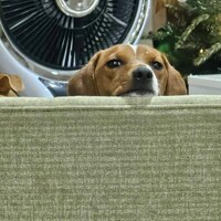 Widow Robe Pattern INSTANT DOWNLOAD Printable Sewing Pattern Old ...