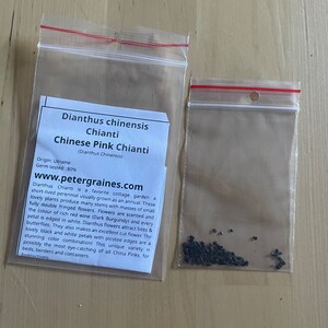 Bottle Tree Seeds Elephants Foot Ponytail Palm Seeds - Etsy