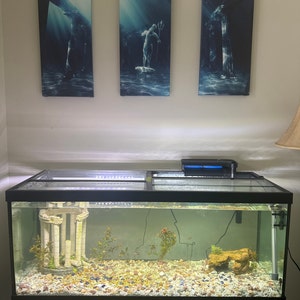 Colorful Pasta Wall Decor, Restaurant Decor, Kitchen Decor, Food Multi ...