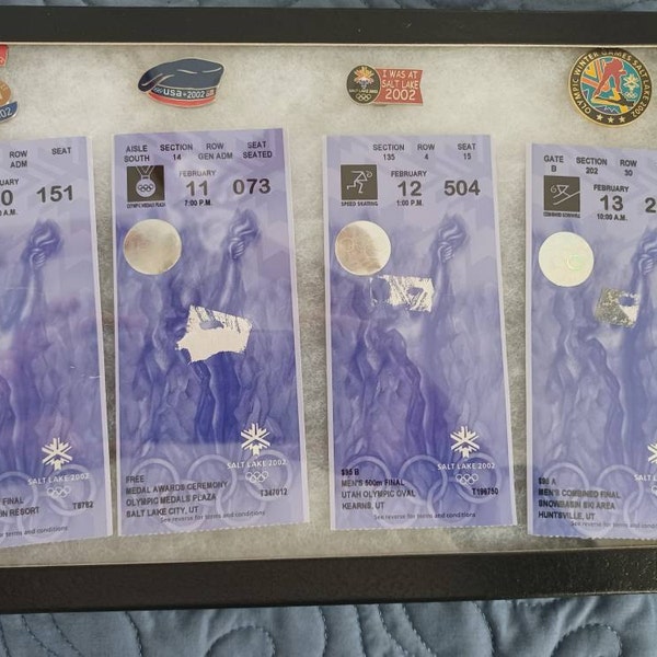 Papilio Dardanus, FLYING HANDKERCHIEF BUTTERFLY Real Swallowtail From ...