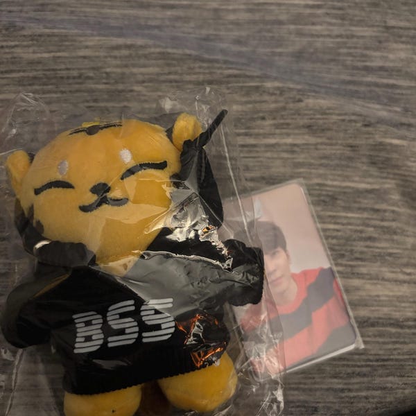 Enhypen En-dolls Animal Fanmade Plushie Jungwon Heeseung Jake Jay ...